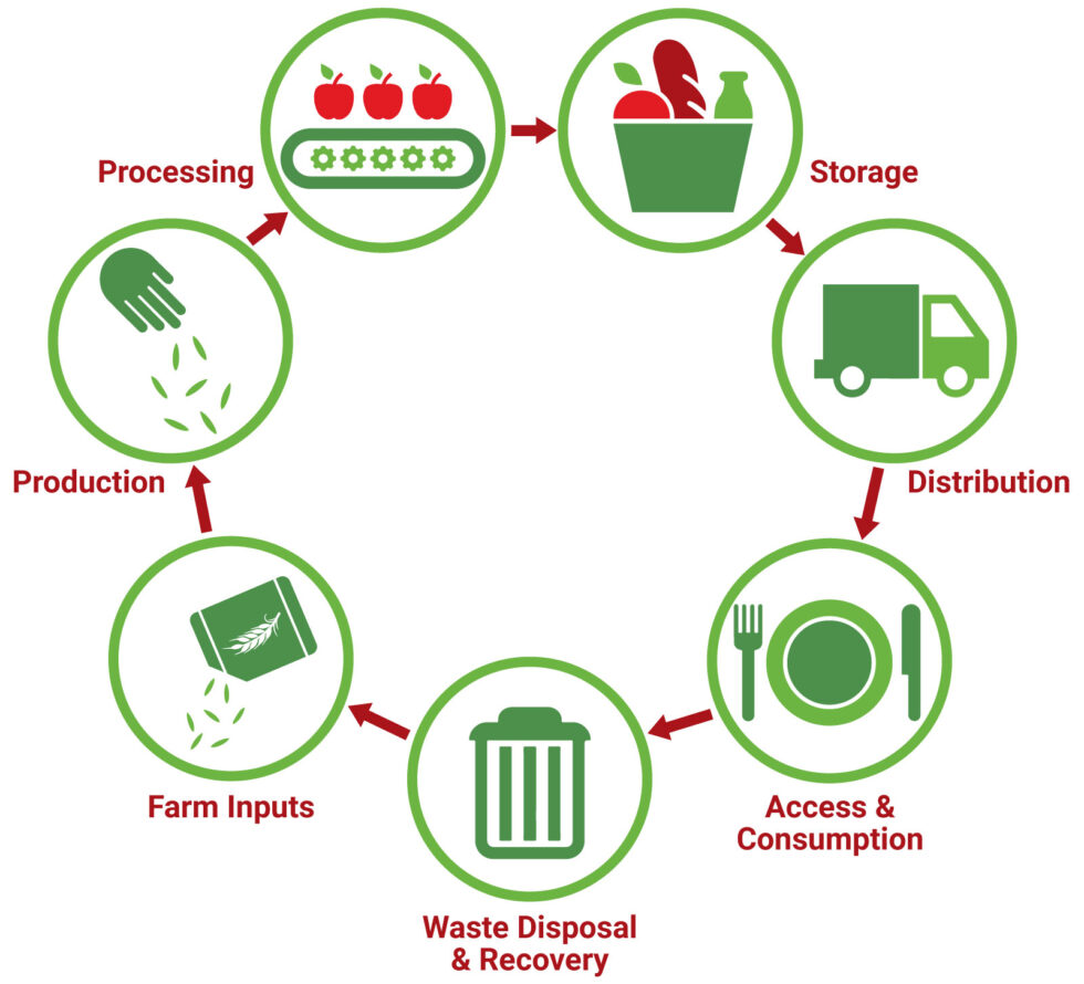 Food Infrastructure | Thunder Bay's Food System Report Card